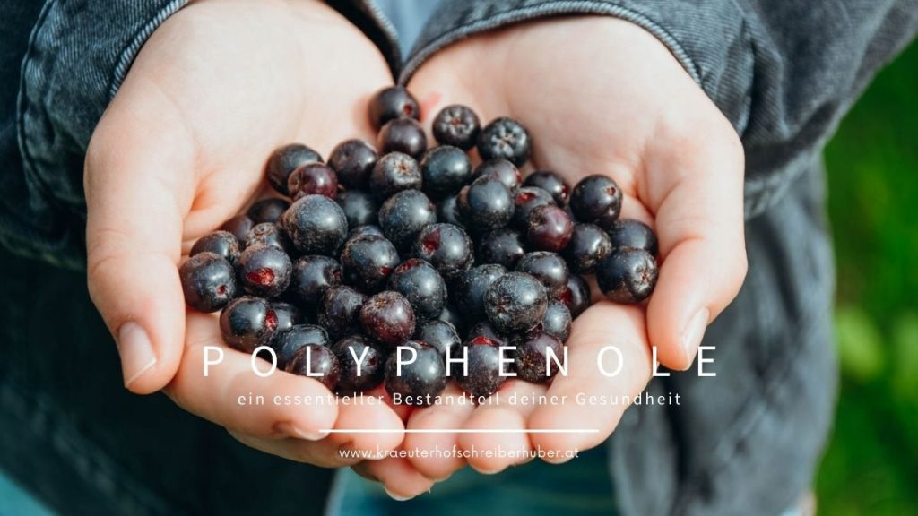 Polyphenole
